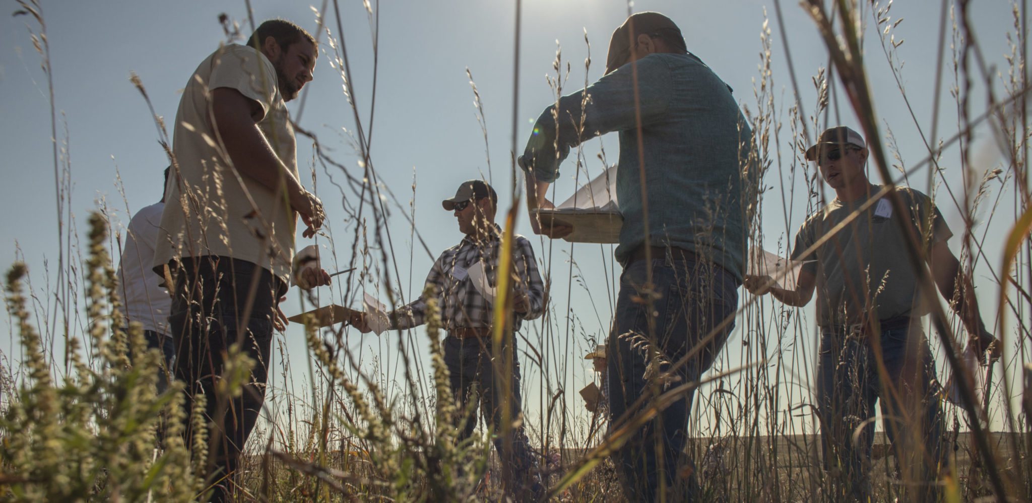 Home - South Dakota Grassland Coalition