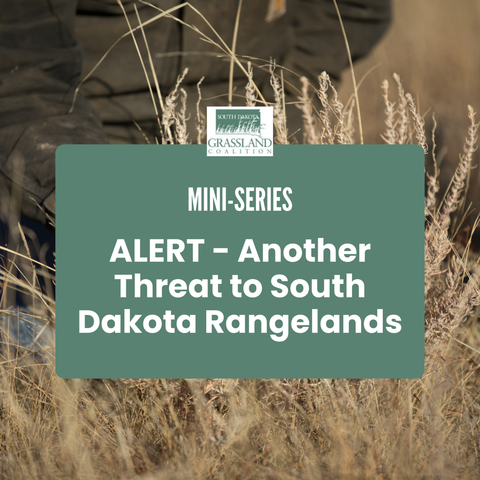 Mini-Series 1 - South Dakota Grassland Coalition