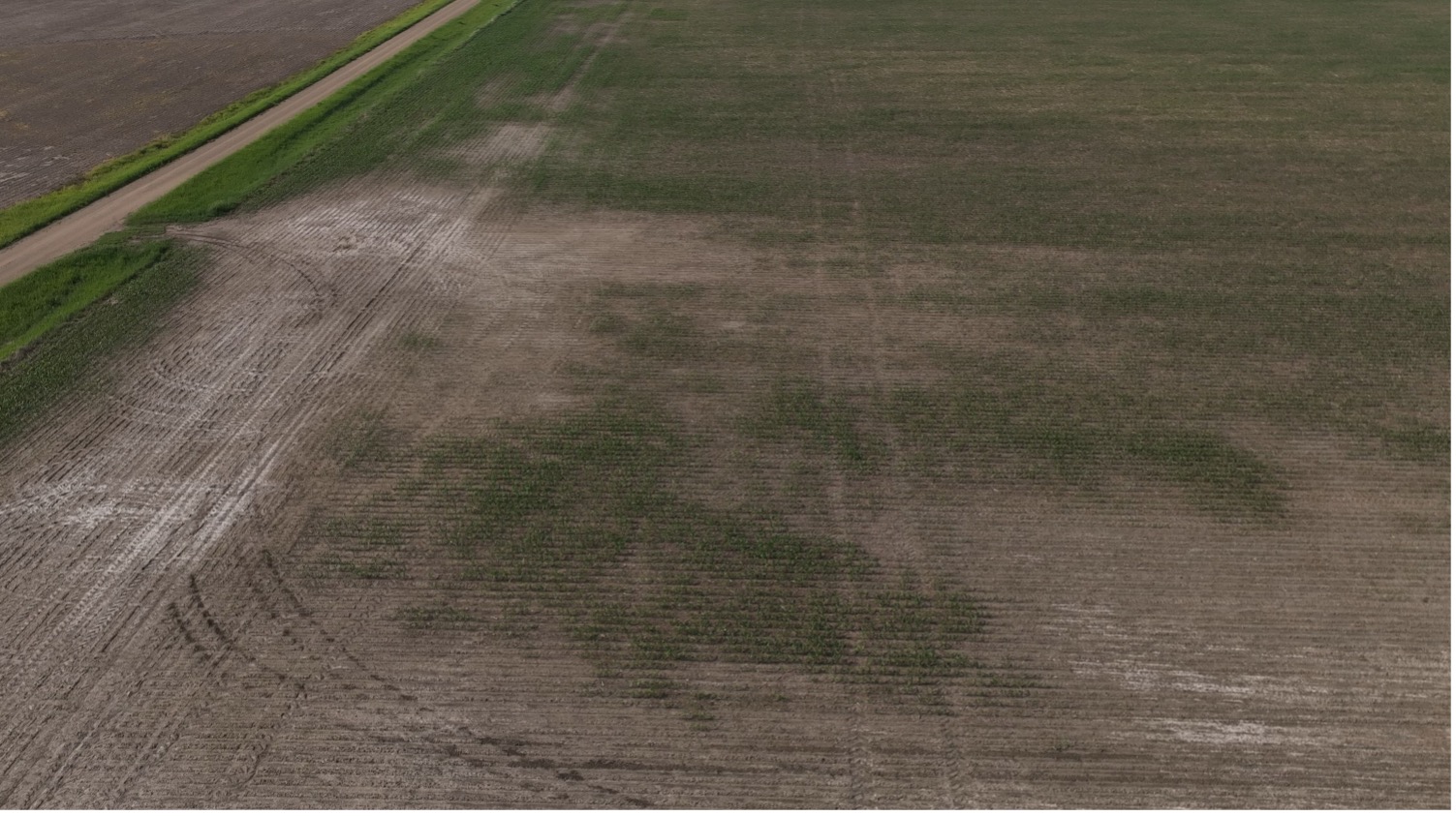 Sensible Solutions to Problem Saline Soils - South Dakota Grassland ...